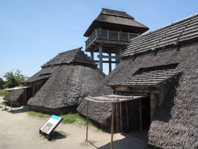 旧石器人や縄文人、弥生人はどんなコトバを話していたのか？ ｜ 歴史人