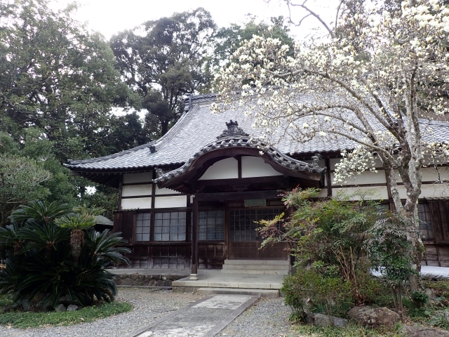「まことの勇将」と徳川家康も評価した才気あふれる嫡男『松平信康』の実像 ｜ 歴史人