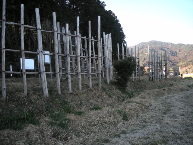 「まことの勇将」と徳川家康も評価した才気あふれる嫡男『松平信康』の実像 ｜ 歴史人