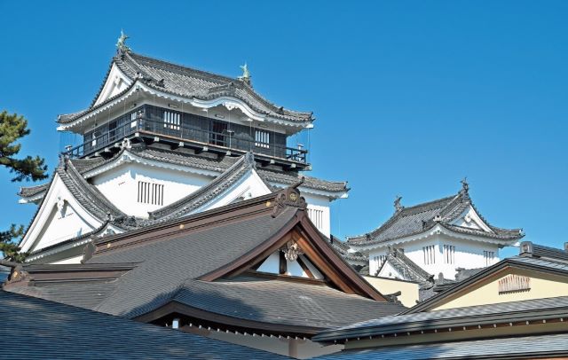 徳川家康が築山殿・信康の処刑を決断したのは徳川家臣団のため⁉ ｜ 歴史人